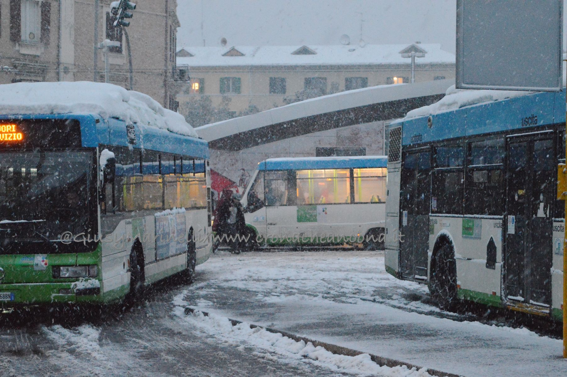 Conerobus, riattivate quasi tutte le linee di trasporto | Cronache Ancona