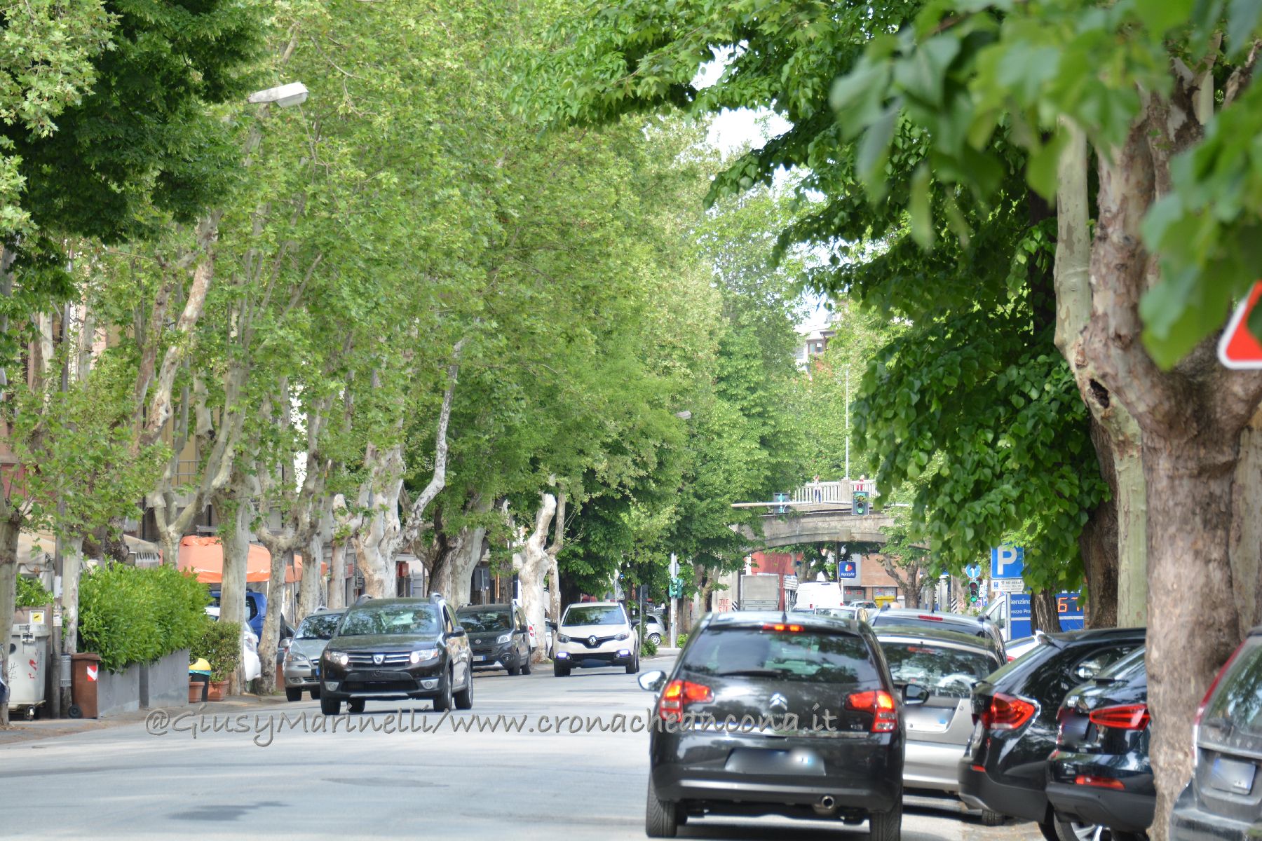 Da lunedì al via la sostituzione dei 60 pali della luce lungo Viale ...