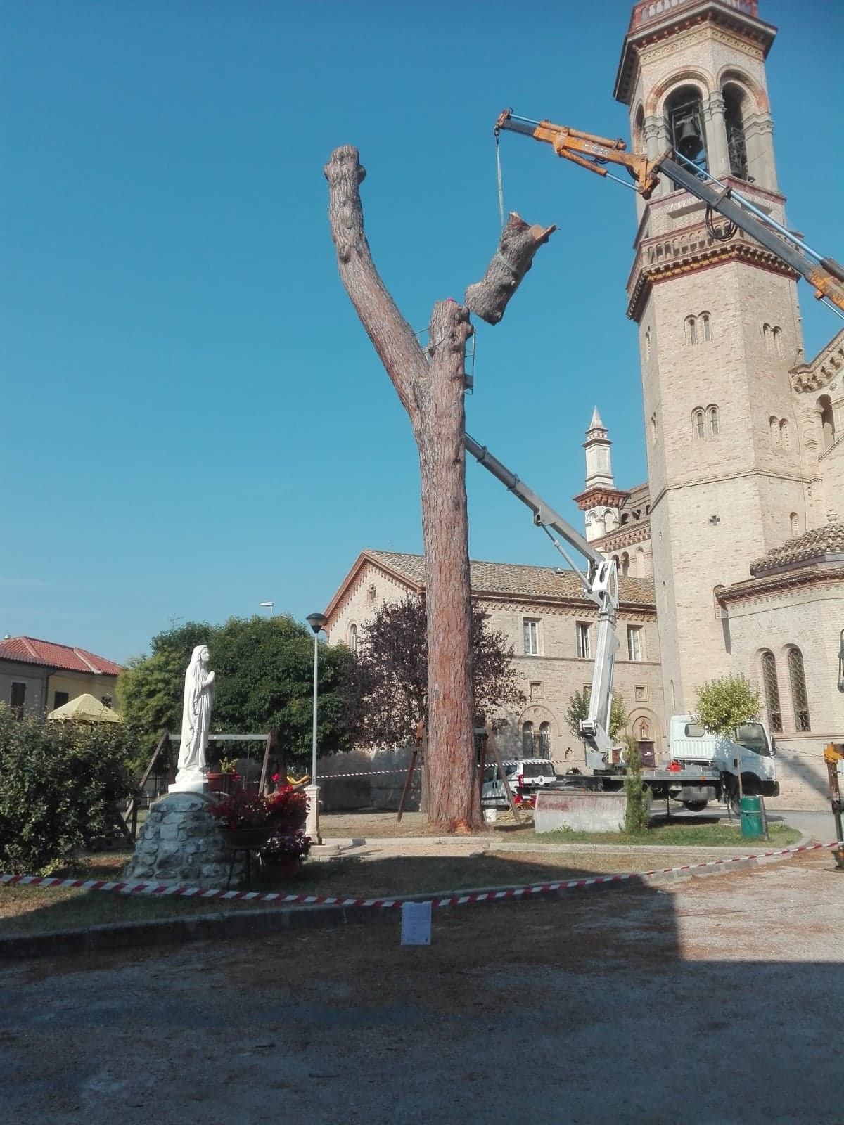 Santuario di Campocavallo, al via l’abbattimento del pino secolare ...