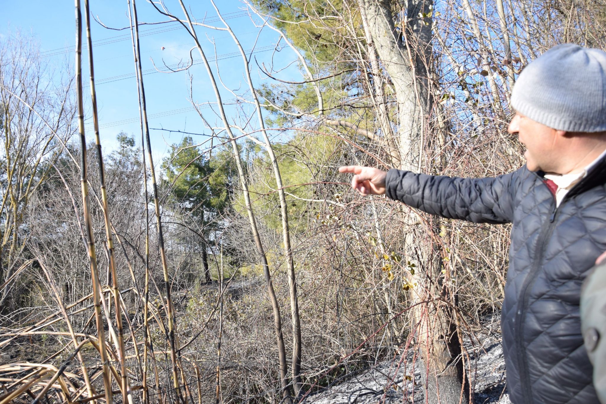 Morto carbonizzato mentre bruciava sterpaglie: identità ancora da ...