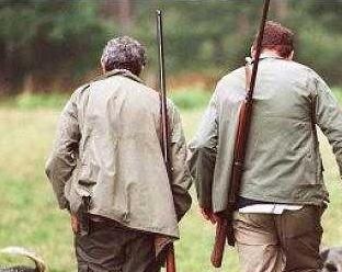 Ladri a casa di un cacciatore: rubati cinque fucili | Cronache Ancona