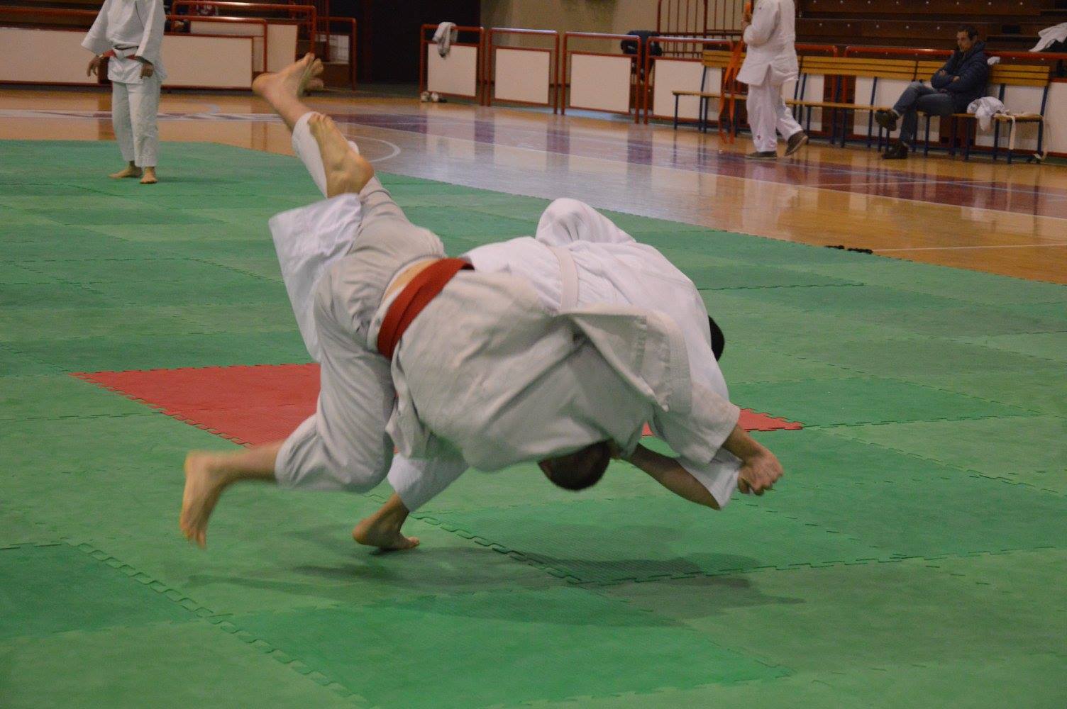 Brillano gli atleti del Judo Samurai nei campionati e tornei ...