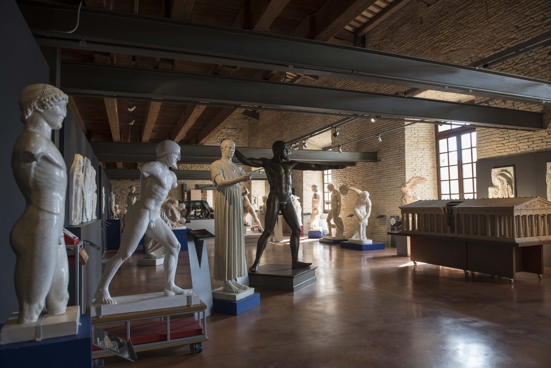 Il Museo Omero protagonista su ‘Linea Verde’ | Cronache Ancona