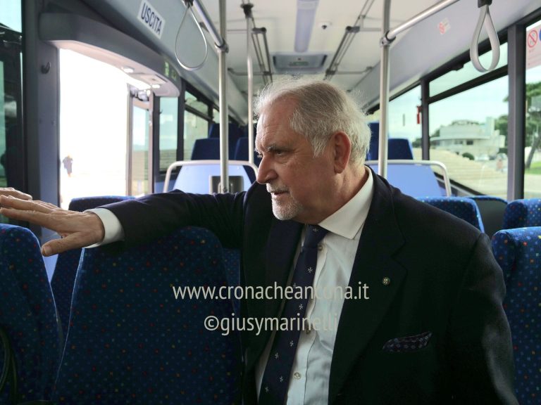 Conerobus arricchisce la propria flotta con 14 nuovi mezzi, più sicuri ...